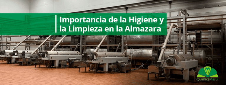 Importancia de la Higiene y la Limpieza en la Almazara - Química Masul