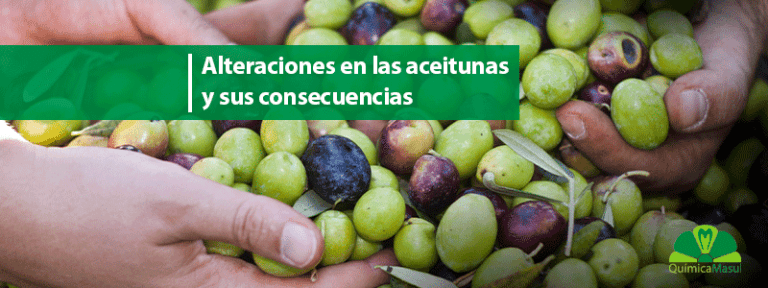 agosto 25, 2023 limpieza industrial No hay comentarios